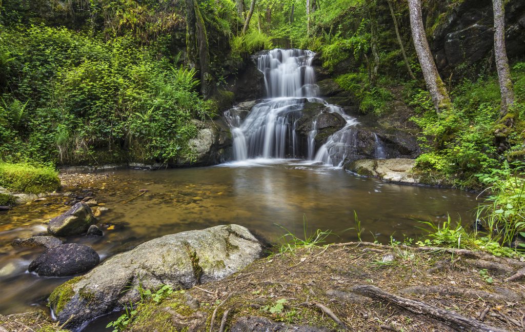 phøst-phost-puy de dôme-auvergne-gorges d'enval • PHOST