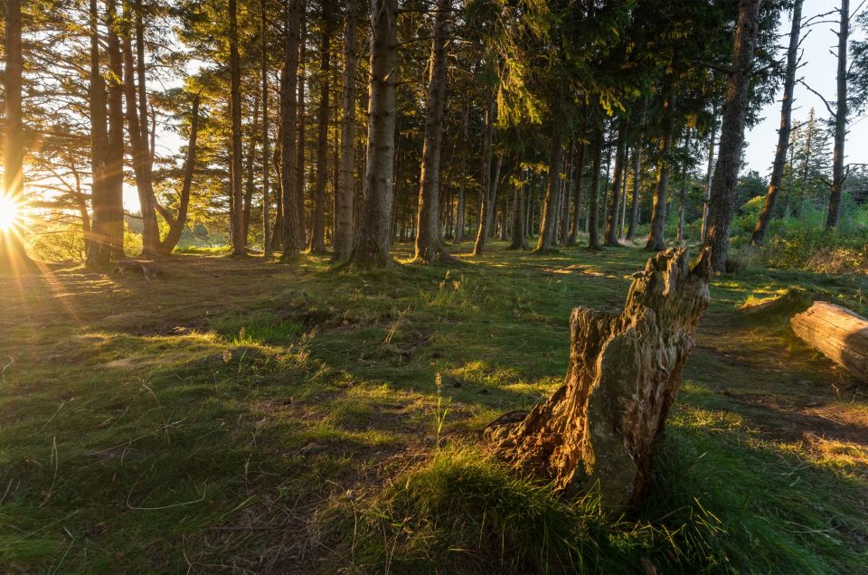 PHOST • Le grand angle et la photographie de paysage